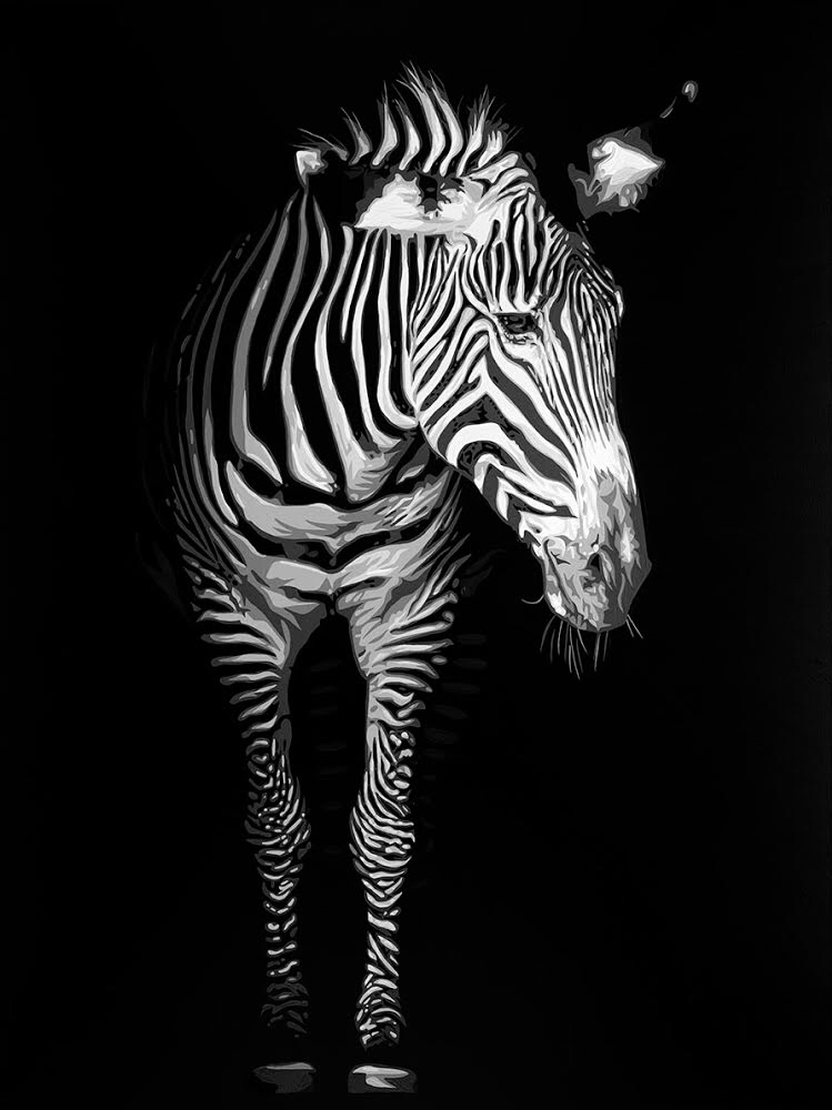 Peek a zoo by Bridget Harding Artist in Gold Coast